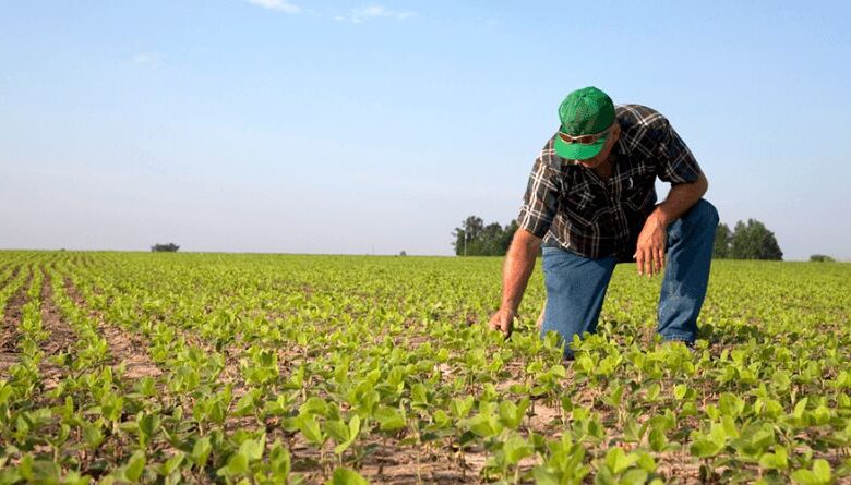 Cédula de Produto Rural: o que é e vale a pena investir?